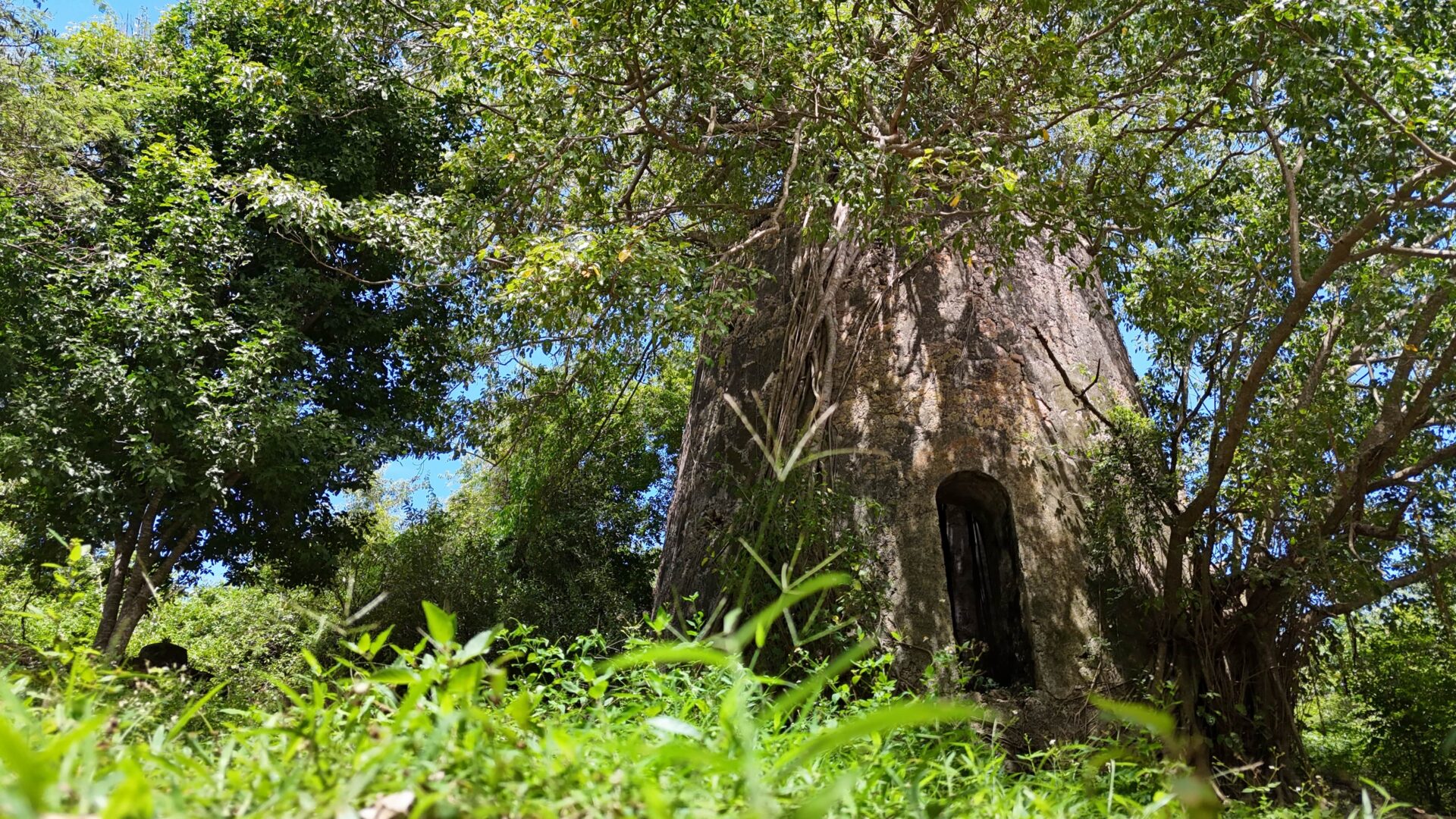 Le lieu à découvrir : le site de Poyen 🍃📍 - OT Nord Grande-Terre Guadeloupe